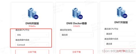 linux环境下达梦数据库的安装与初始化指南 csdn博客