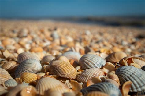 10개 이상 무료 채무 및 채무자 사진 Pixabay