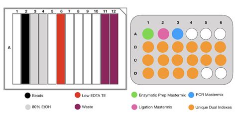 Layout Of Reagents
