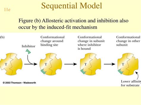 Ppt Biochemistry Powerpoint Presentation Free Download Id5755720