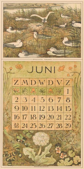 Kalenderblad Juni Met Broedende Meeuwen 1911