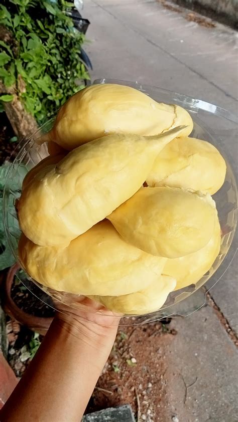 เจ๊หมวย ทุเรียนพรีเมี่ยม Added เจ๊หมวย ทุเรียนพรีเมี่ยม