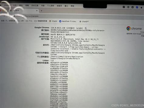 如何查看chrome可执行文件路径macwindows谷歌浏览器可执行文件路径 Csdn博客