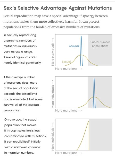 What If Sex Is Just A Garbage Dump For Genetic Mutations Wired