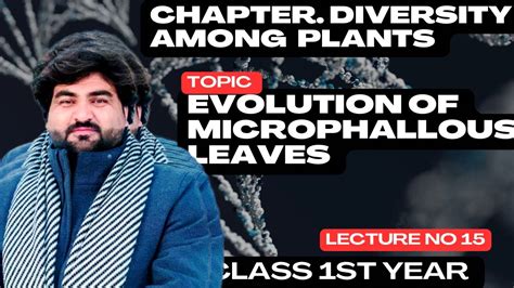 Evolution Of Microphyllous Leaves Ist Year Biology Youtube