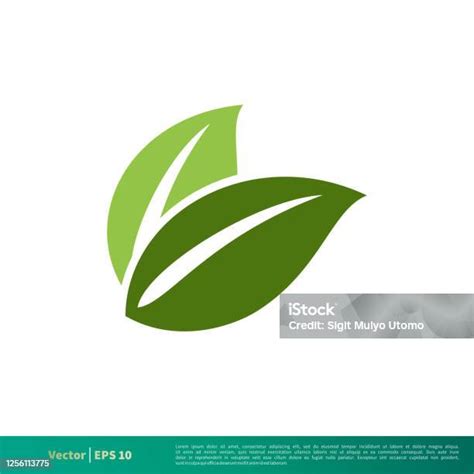 자연 녹색 잎 아이콘 벡터 로고 템플릿 일러스트레이션 디자인 Eps 10 0명에 대한 스톡 벡터 아트 및 기타 이미지 0명 개념 개념 기호 Istock