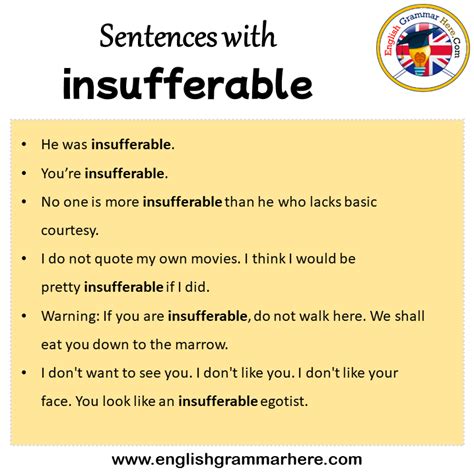 Insufferable In A Sentence In English Archives English Grammar Here