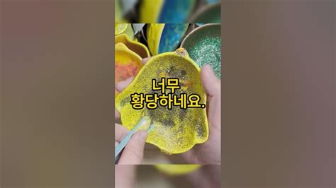 신혼집에 와서 자기 방은 없냐는 시어머니 Youtube