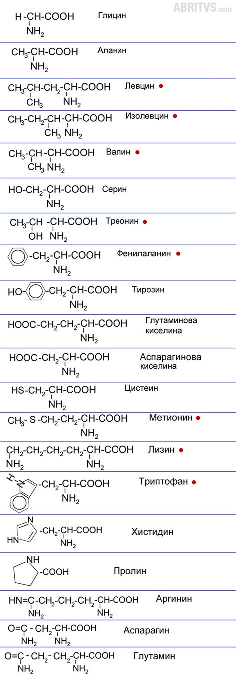Заменими и незаменими алфа-аминокиселини
