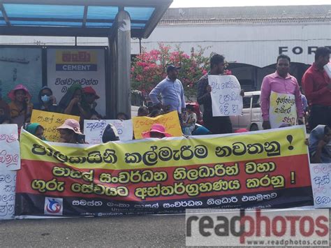 පොරොන්දු ඉටුකරන්න පාසල් සංවර්ධන නිලධාරීන් උද්ඝෝෂණයේ Lnw Sinhala