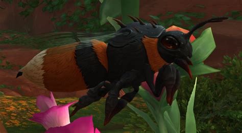 Relocated Bee Npc World Of Warcraft