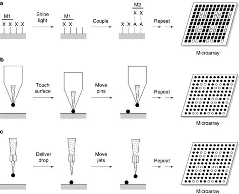 Microarrays Biotechnologys Discovery Platform For Functional Genomics Trends In Biotechnology