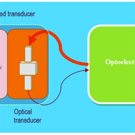 A General Schematic Illustration Of A Biophotonic Sensor The
