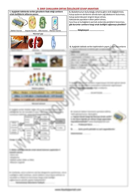 Solution Sinif Canlilarin Ortak Zell Kler Cevap Anahtar Studypool