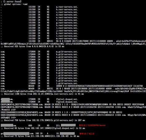 Dns Dig和nslookupping的dns解析方式区别 Segmentfault 思否