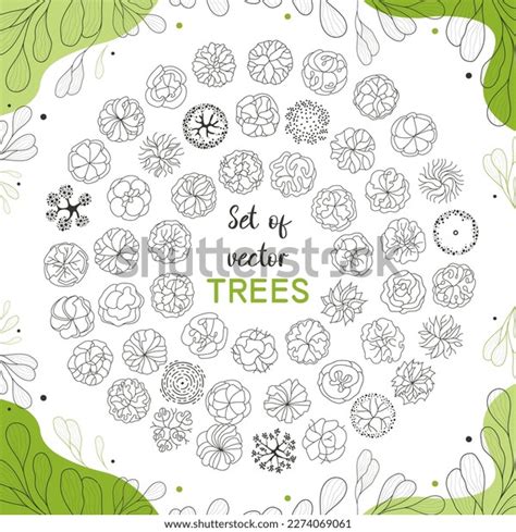 Tree Architectural Floor Plans Entourage Design Stock Vector Royalty Free 2274069061