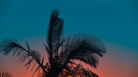 Обои Эстетика На Компьютер 69 фото