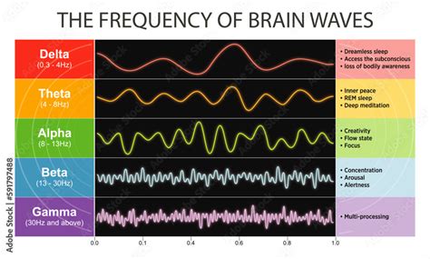 Different Kinds Of Waveforms Are Produced By Brain Activity Demonstration Of Human Brain Waves