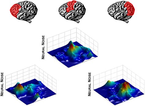 Neural Noise Modulation Across The Brain Viewed As Landscape Here