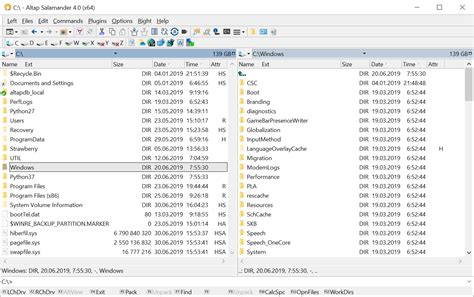 Altap Salamander Powerful Two Panel File Manager