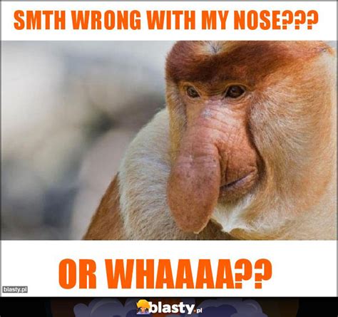 Smth Wrong With My Nose Memy Y I śmieszne Obrazki Facebook