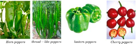 Figure 1 From Design And Testing Of Bionic Feature Based 3d Printed Flexible End Effectors For