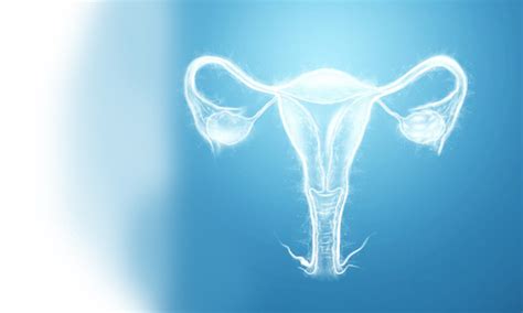 Lyber Pco Pcos Supplement