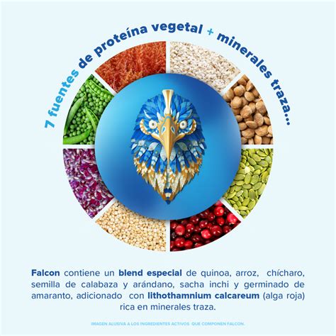Falcon Protein Proteína Vegana Orgánica En Polvo Vainilla 18 Kg