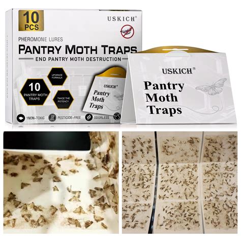 Uskich Pantry Moth Traps With Strength Pheromones Moths Killer Safe