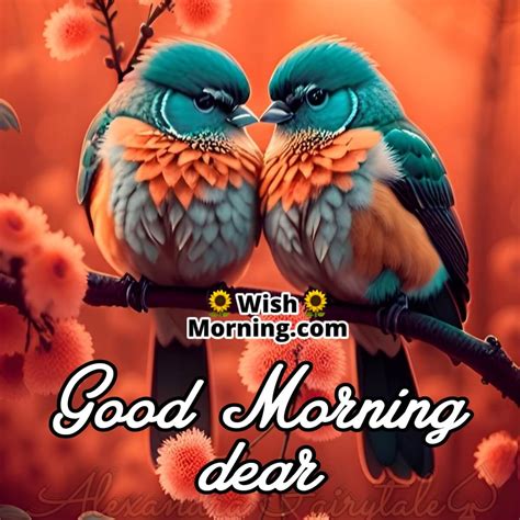 Good Morning Birds Images To Begin Your Day With Nature Wish Morning
