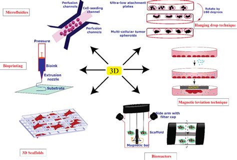 Diagrammatic Representation Of The Most Commonly Used Techniques For Download Scientific