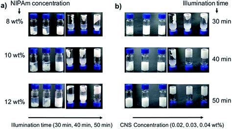 Carbon Nitride Nanosheets As Visible Light Photocatalytic Initiators And Crosslinkers For
