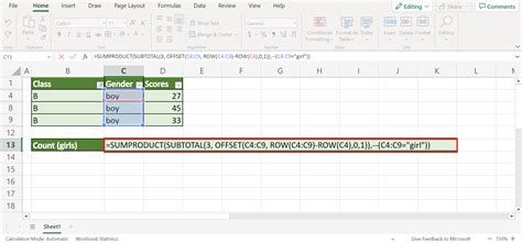 How To Use Subtotal With Countif In Excel Sheetaki