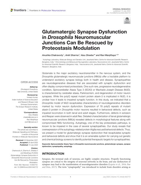 Pdf Glutamatergic Synapse Dysfunction In Drosophila Neuromuscular Junctions Can Be Rescued By