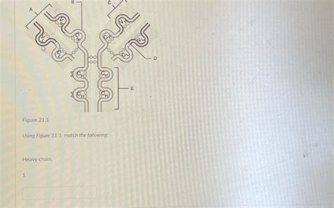 solved figure 21 1 using figure 21 1 match the following