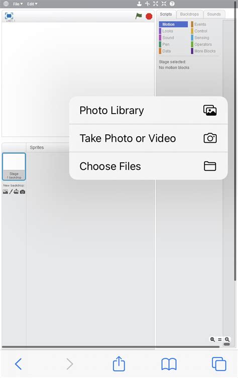 File Browser Wont Open In S Online Github Io Issue Ruffle Rs Ruffle GitHub