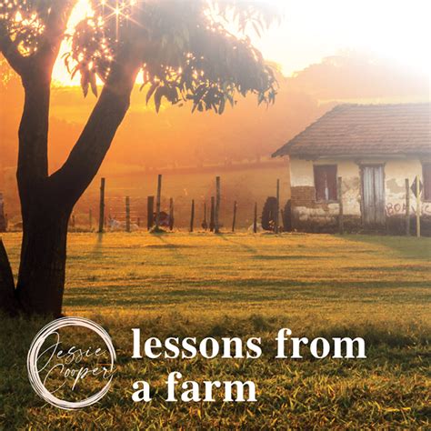 Lessons From A Farm Iaba Consultants Owners Blog