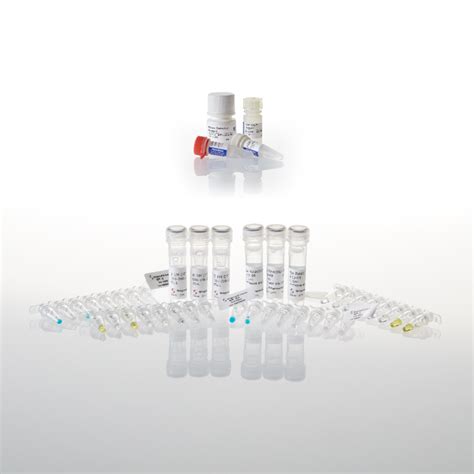 Kinase Selectivity Profiling System General Panel Nerliens Meszansky As