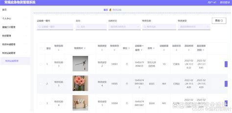 基于springbootvue的常规应急物资管理系统的设计与实现