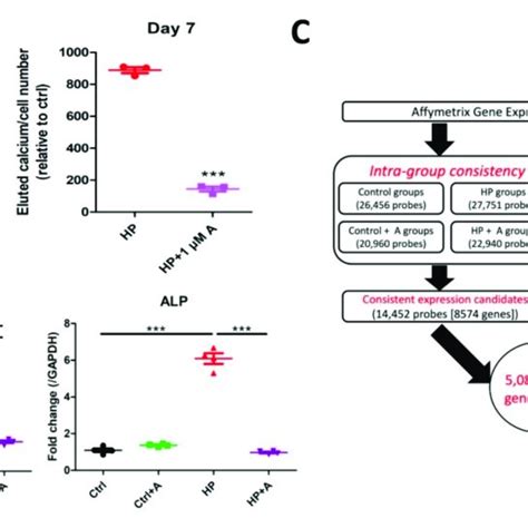 microarray experiments and the bioinformatic workflow a quantitation
