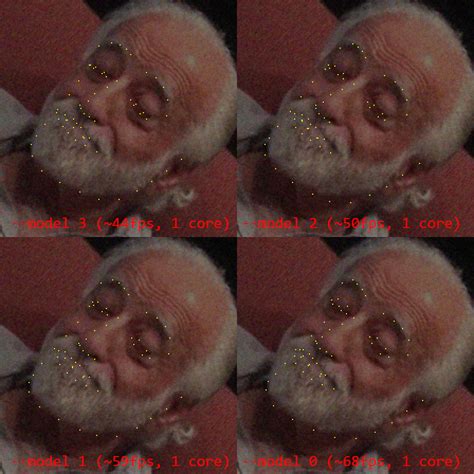 GitHub Emilianavt OpenSeeFace Robust Realtime Face And Facial Landmark Tracking On CPU With