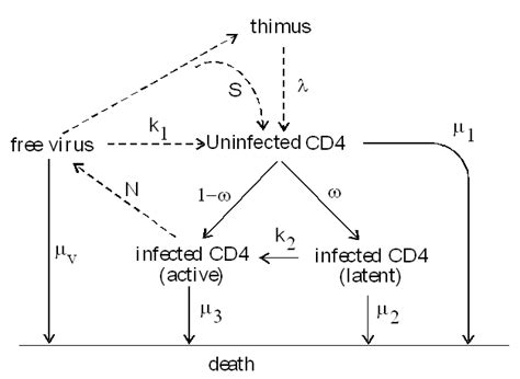 Relations Between The State Variables Download Scientific Diagram