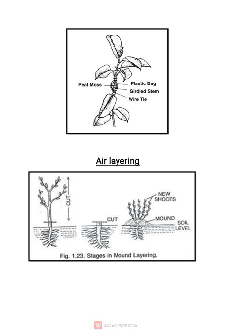 SOLUTION Diagrams Propagation Studypool