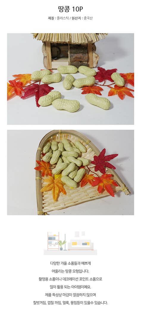 가을 열매 도토리 밤 고추 호박 마늘 대추 땅콩 버섯 솔방울 야채 과일 모형 Hansoften