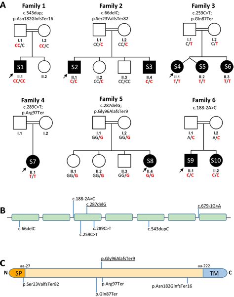 Pedigrees And Genetic Data A Pedigrees Of The Six Families