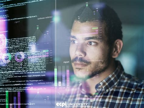 What Is The Role Of A Software Developer