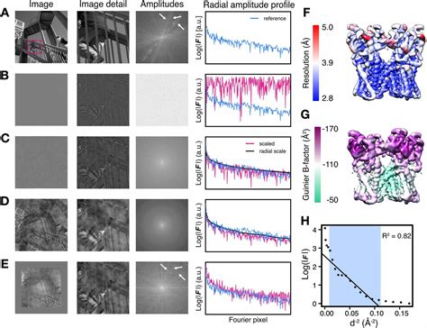 Model Based Local Density Sharpening Of Cryo Em Maps Elife