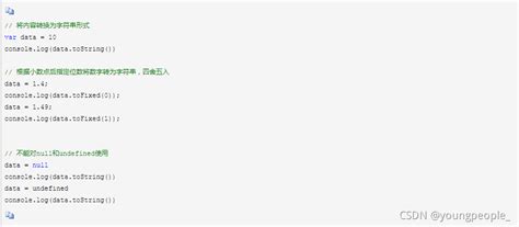 Javascript类型转换（详解）js255b Csdn博客