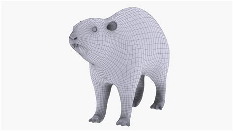 Rock Hyrax 3d Model Turbosquid 1456439
