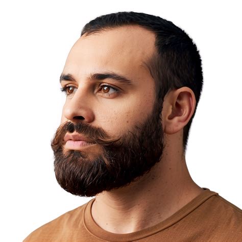 Beard Png Png Images 200